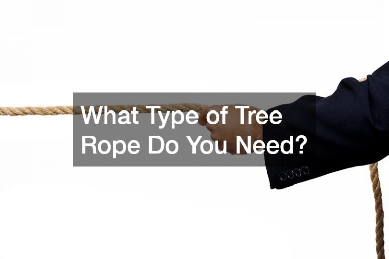 What Type of Tree Rope Do You Need? - Claremont Port Side